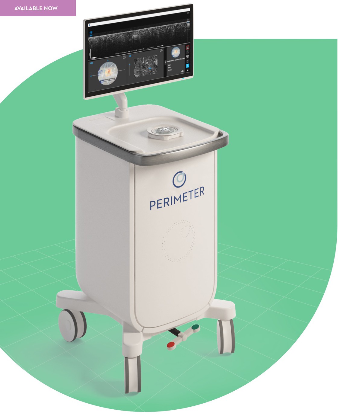 Cellular-level intraoperative margin visualization for excised tissues ...